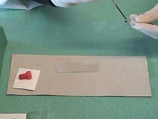 HemoSurf - programme de démonstration!